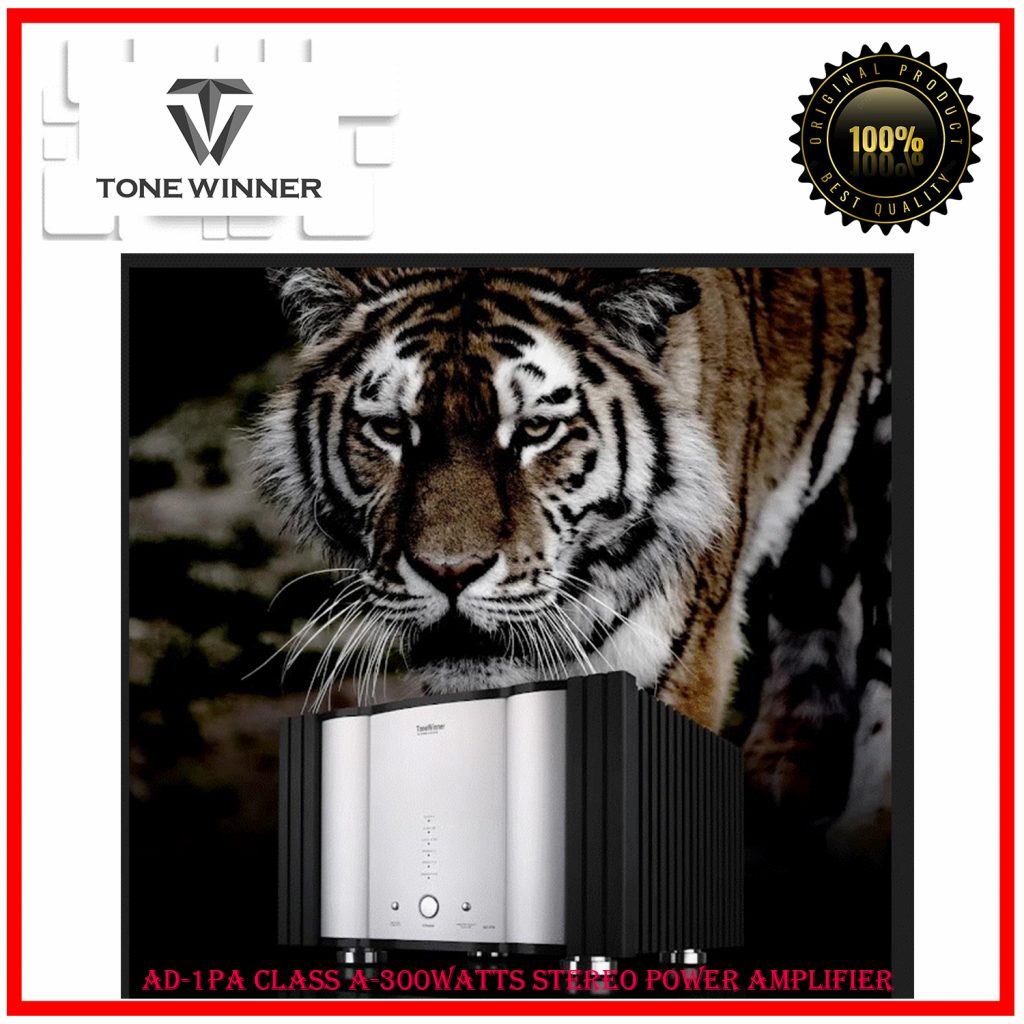 ToneWinner AD-1PA Class A/300Watts Stereo Power Amplifier - Audio Concept